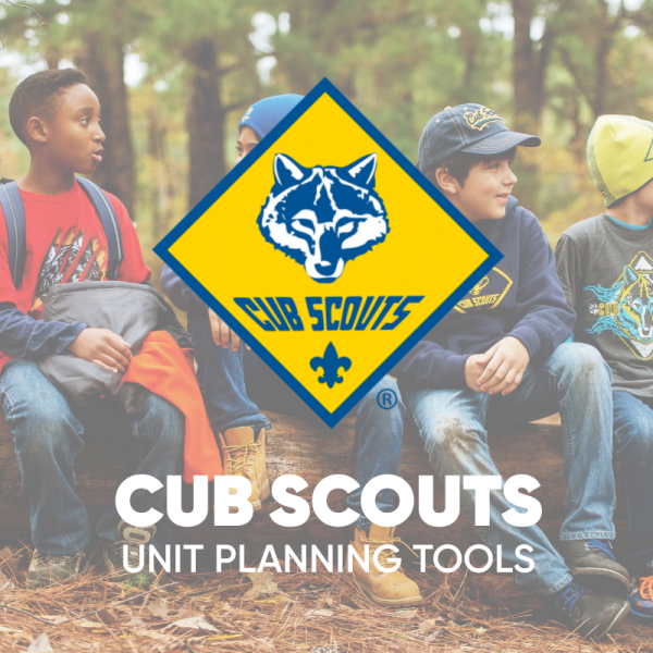 Program Planning – Michigan Crossroads Council | Scouting America