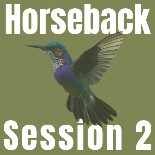 D-Bar-A Ranch Birding – Michigan Crossroads Council | Scouting America